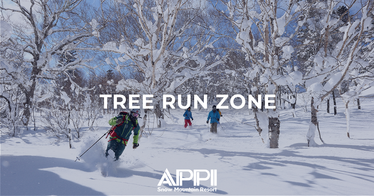 ツリーラン - APPI Snow Mountain Resort