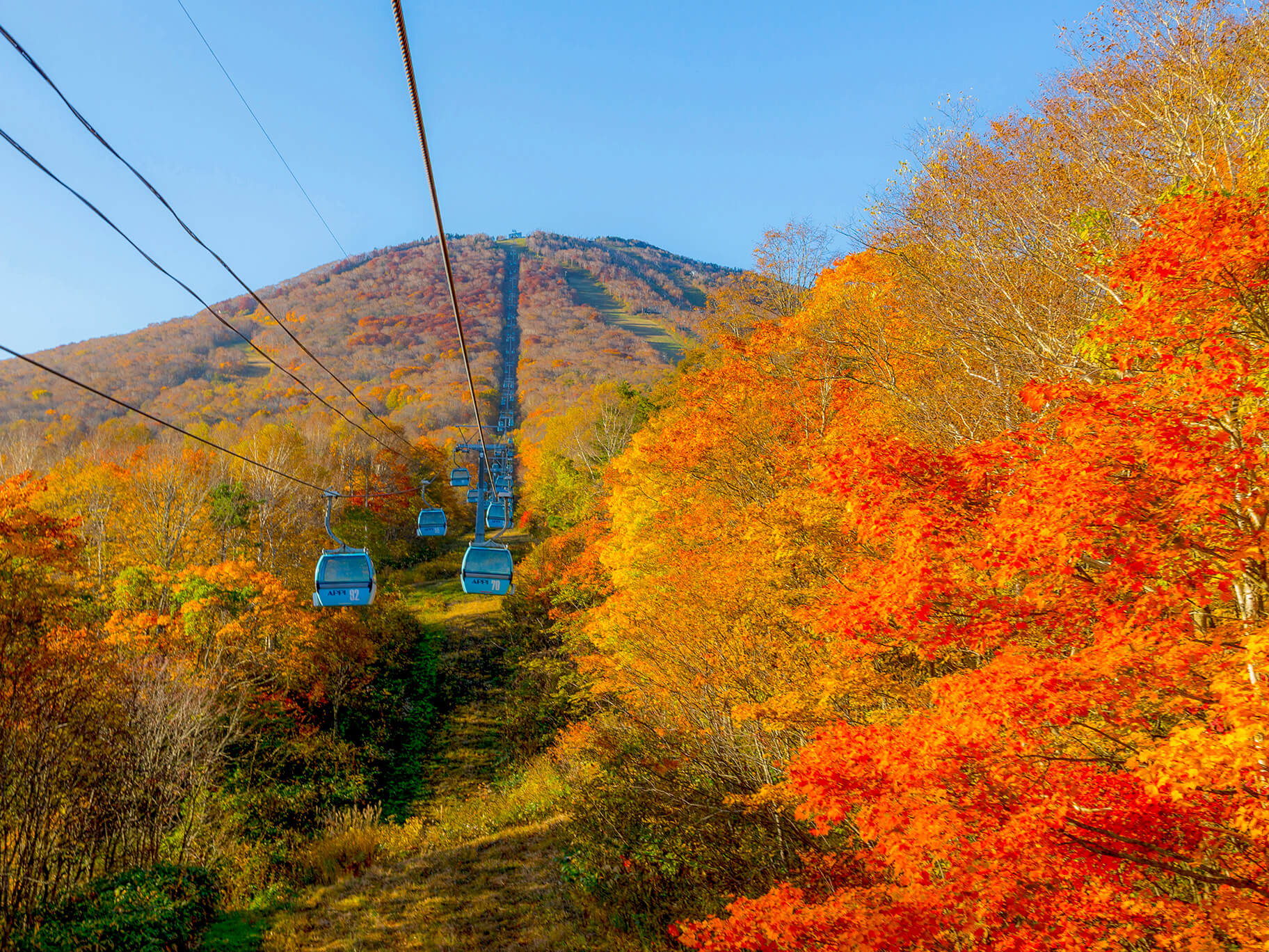 APPI【公式HP】 | 公式HPが一番お得